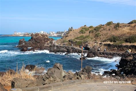 2월 제주도 걷기좋은 길 가볼만한곳 애월한담해안산책로 곽지해수욕장~애월카페거리 네이버 블로그