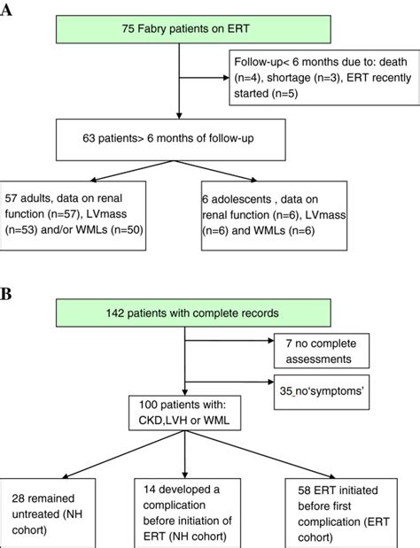 Overview Of Ert And Non Ert Cohort A The Flow Chart Shows The