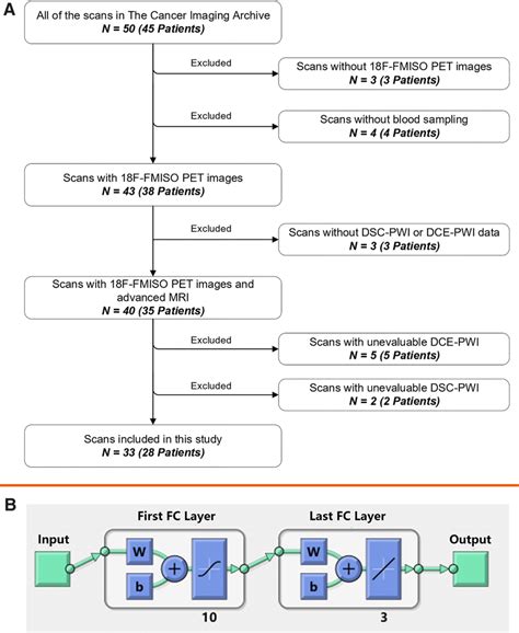 Flowchart Of Patient Inclusion And Diagram Of Neural Network A Download Scientific Diagram