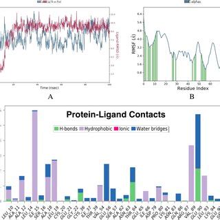 Molecular Dynamic Simulation A During Molecular Dynamic Simulation Download Scientific