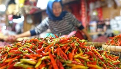 Pedas Harga Cabai Rawit Di Ketapang Tembus Rp120 Ribu Perkilogram Suara Ketapang