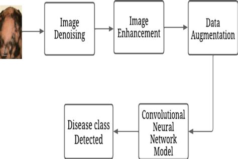System Workflow Of Hair Disease Detection Model Download Scientific Diagram