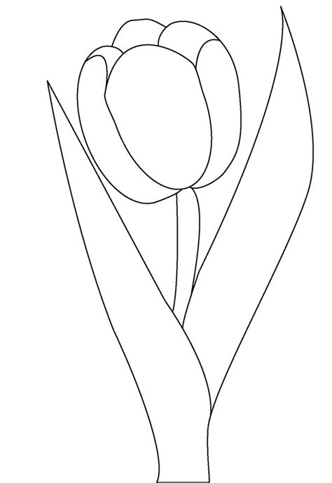 31 Desenhos De Tulipa Flores Para Imprimir E Colorirpintar