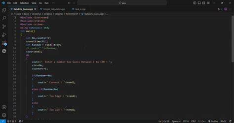 lalit borse on linkedin connections cpp codsoftinternship