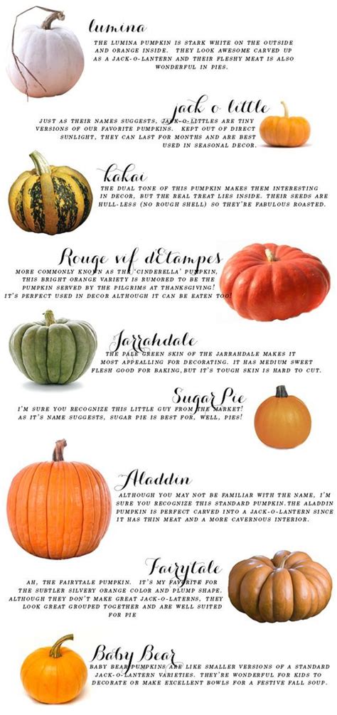 Cinderellas Pumpkin Roundup Part Vii