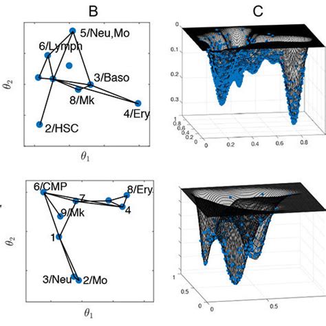 From Discrete To Continuum Cell States A Single Cell Data From Download Scientific Diagram