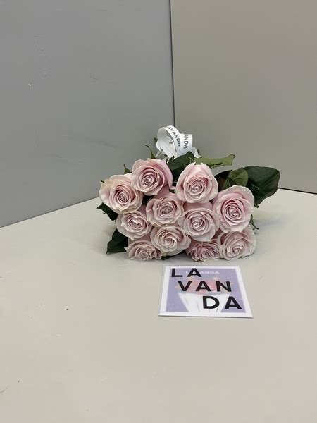 Купить воздушные шары с гелием в Омске заказать воздушные шары с гелием с доставкой в