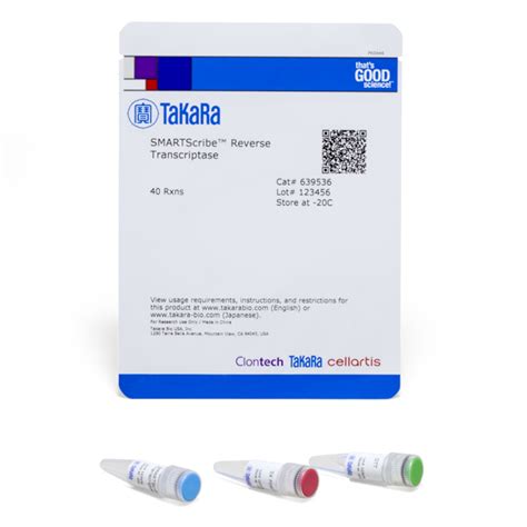 Smartscribe Reverse Transcriptase
