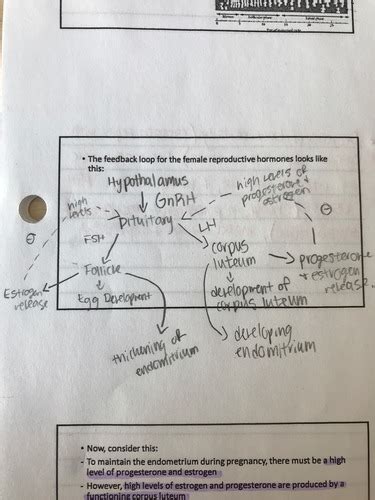 Bio 30 Chapter 14 Flashcards Quizlet