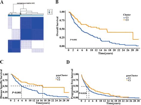 Prognostic And Immune Infiltration Implications Of Siglec9 In Skcm Pmc