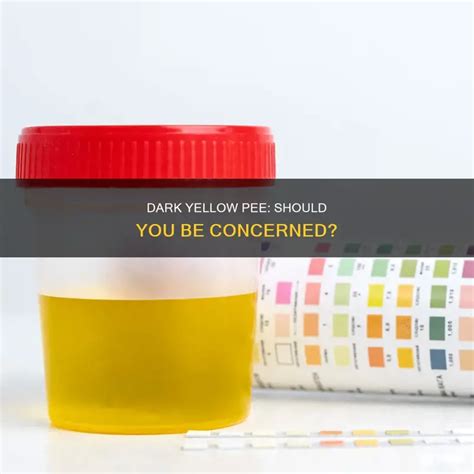 Dark Yellow Pee Should You Be Concerned Medshun