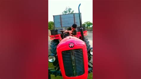 Tector Lover Shorts Youtube