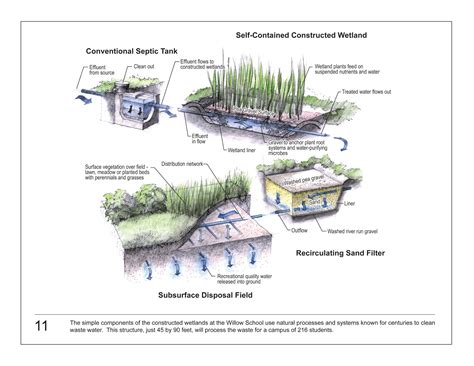 Surface Water Diagram Wetlands Constructed Wetlands Compone