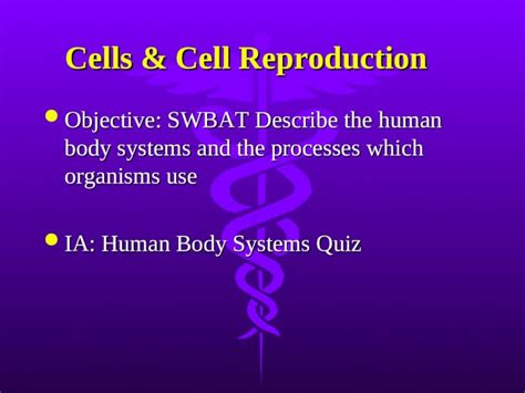 Ppt Cells And Cell Reproduction L Objective Swbat Describe The Human
