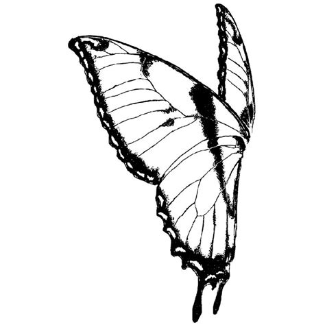 Butterfly Wings Lt Lg 1385j Wings Drawing Butterfly Wing Tattoo