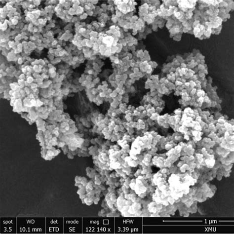 Scanning Electron Microscopic Image Of Sio2 Nps 30 Nm Download