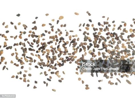 물고기 탱크 장식 바위 돌 자갈 파리 폭발 가을 갈색 돌 바위 폭발 추상 구름 파리 지상 층에 대한 공중에서 튀는 흰색 배경