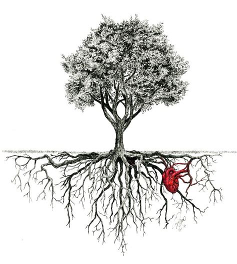Rooted Ink With Color WetCanvas Tree Roots Tattoo Tree Art Tree Drawing