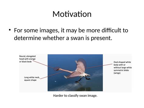 basic introduction to convolutional neural network pptx