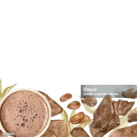 Border With Chocolate Cocoa Cocoa Fruits Leaves And Flowers Illustration Is Hand Drawn In