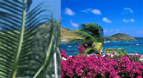 Vector Vs Raster Business Sign Design Connecting Signs