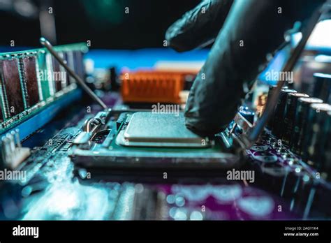 Engineer Repairman Holding Hands In Black Gloves Chip Processor CPU To Insert Into The Socket