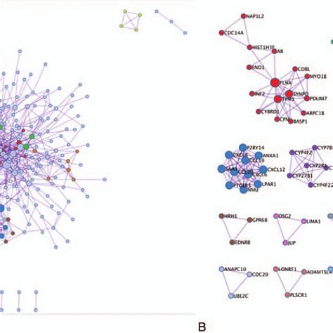 ppi network and the mcode networks a ppi network b mcode
