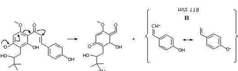 Fragmentation Pathways To A And B Fragments Of Compound 1 Proposed In