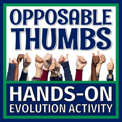 Human Evolution Activity Opposable Thumbs Lab Flying Colors Science