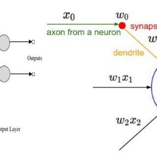 A Computation Process In The MLP And B The Details Of The Structure Of Download Scientific