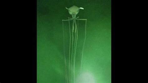 Ruby Gilman Isnt So Unrealistic Now Is It R Dreamworks