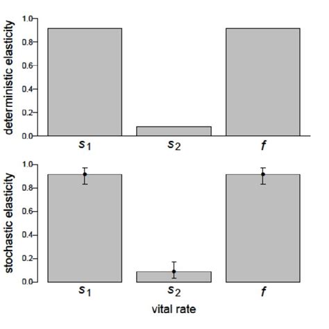 Results Of The Deterministic And Stochastic Perturbation Analysis