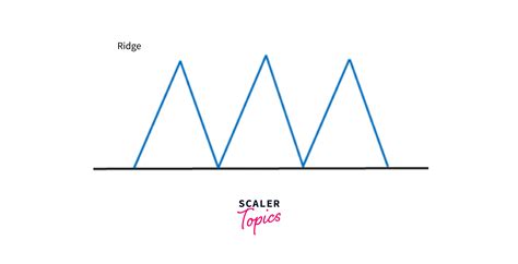 Types Of Local Search Algorithm Scaler Topics