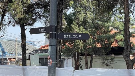 참기름 섞은 간장에 찍어 먹는 두부 부침