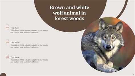 Wolf Images Animal Powerpoint Ppt Template Bundles Ppt Powerpoint