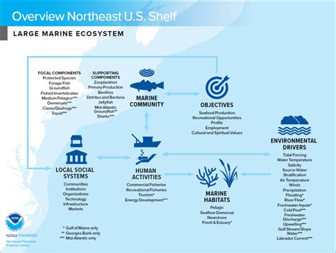 Multispecies And Ecosystem Modeling For The Northeast Shelf Ecosystem