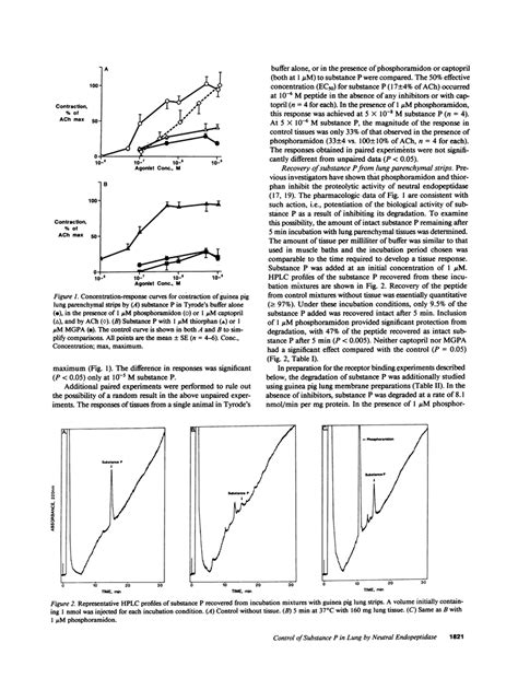 Neutral Endopeptidase Like Enzyme Controls The Contractile Activity Of