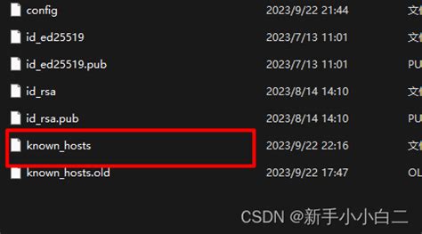 vscode SSH远程连接Linux失败提示过程试图写入的管道不存在 已解决 vscode 新手小小白二 华为开发者空间