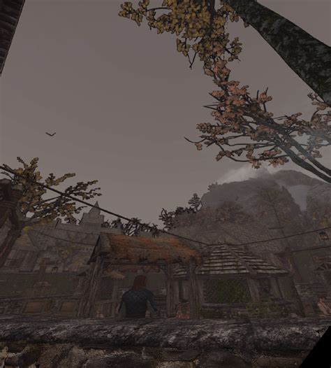 Need Skyrim Vr Help Black Outline On Foliage Virtual Reality Loverslab