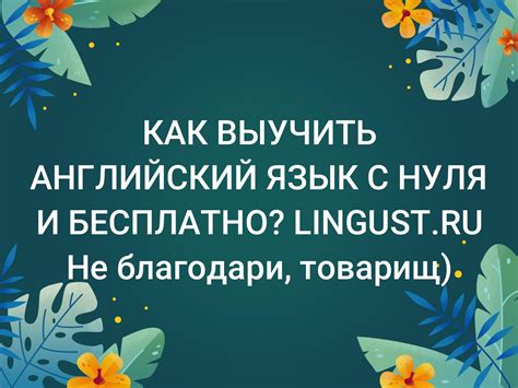 КАК ВЫУЧИТЬ АНГЛИЙСКИЙ ЯЗЫК С НУЛЯ И БЕСПЛАТНО Lingust Ru Не благодари