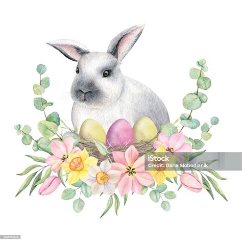 꽃 꽃다발 둥지에 화려한 계란이 있는 부활절 토끼 수채화 핑크 튤립 노란색과 흰색 수선화 꽃다발 손으로 그린 봄 그림입니다 장식 디자인 요소 0명에 대한 스톡 벡터 아트 및