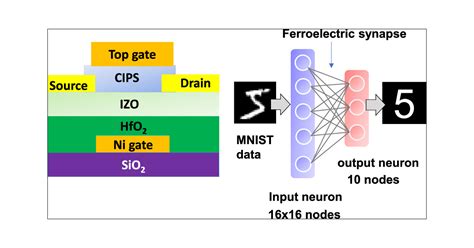 Low Thermal Budget Ferroelectric Field Effect Transistors Based On