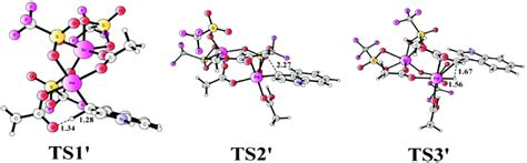 Relevant Key Transition State Structures Involved In Concerted