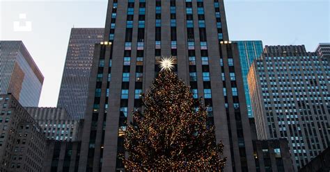 높은 건물 앞에 있는 큰 크리스마스 트리 사진 Unsplash의 무료 크리스마스 이미지