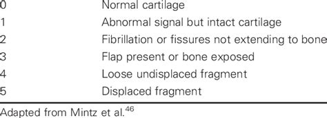 Grading Of Osteochondral Lesions Download Table