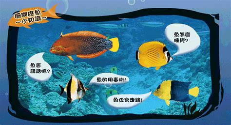 臺灣珊瑚礁魚圖鑑