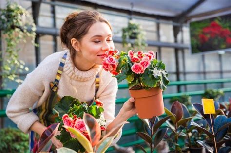 Using A Greenhouse For Food Self Sufficiency The Organic Prepper