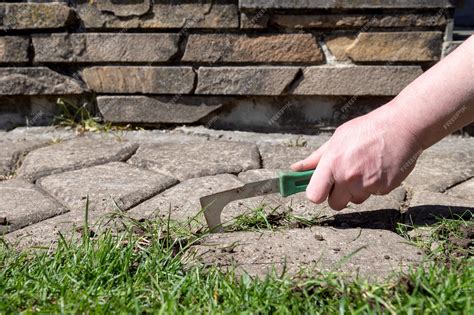 Premium Photo Removing Grass Between Paving Slabs On The Street A