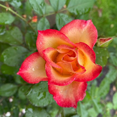 Washington County Auditor Washcoauditor • Instagram Photos And Videos