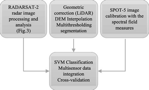 Data Processing Procedure Download Scientific Diagram